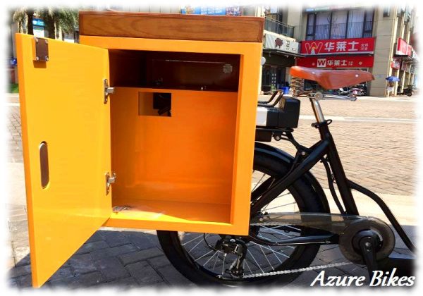 Electric Ice Cream Bike with Solar Freezer - Azure Bikes